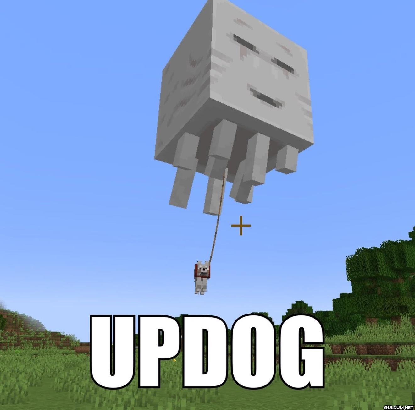 + UPDOG - Guldum.net - Caps arama motoru