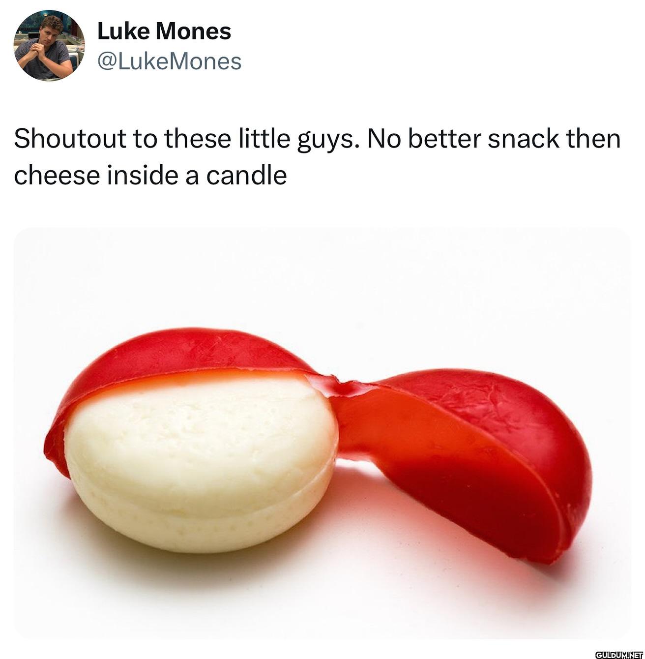 Shoutout to these little guys. No better snack then cheese inside a ...