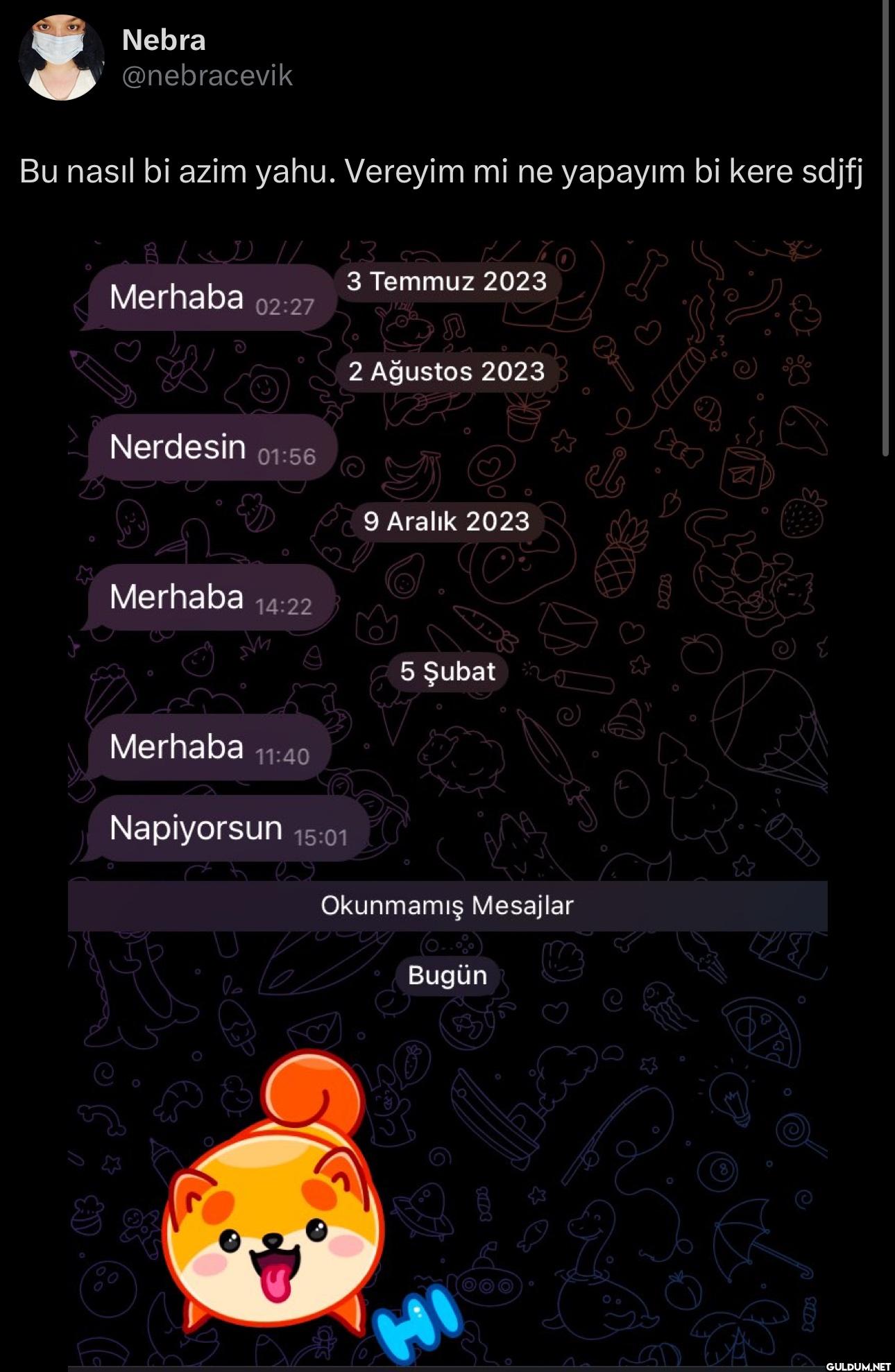 gece nerdesin yazıp, gündüz merhaba yazması… Nebra @nebracevik Bu nasıl ...