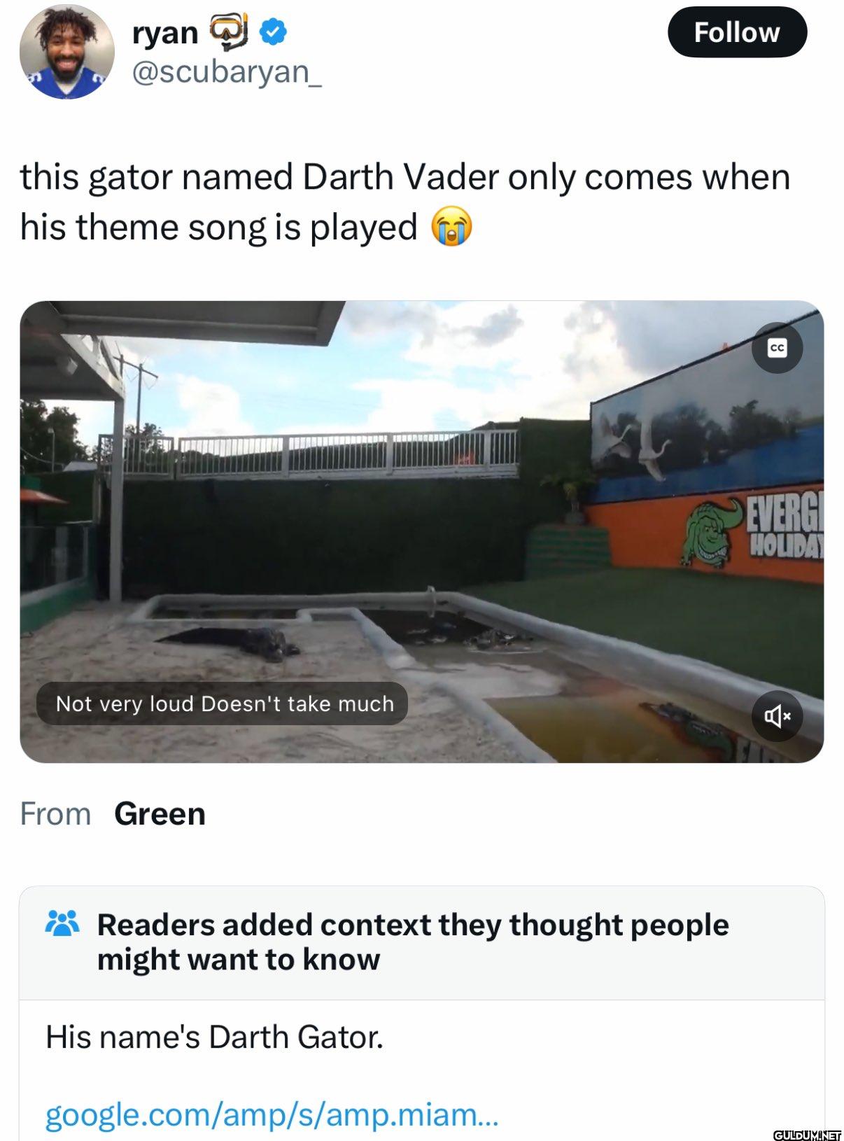 Darth Gator is awesome ryan Follow @scubaryan_ this gator named Darth ...