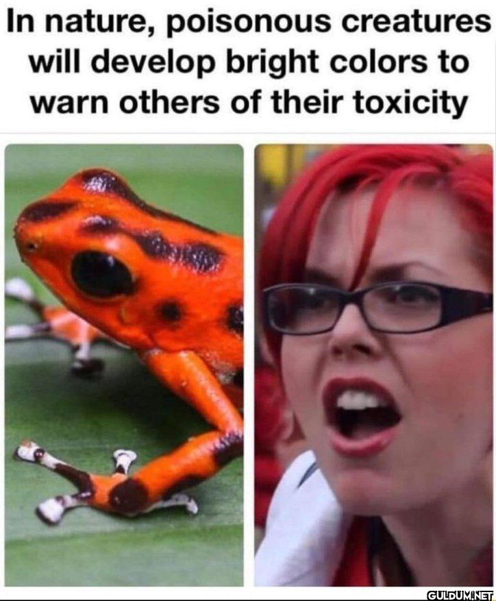🤷‍♂️ In nature, poisonous creatures will develop bright colors to warn ...