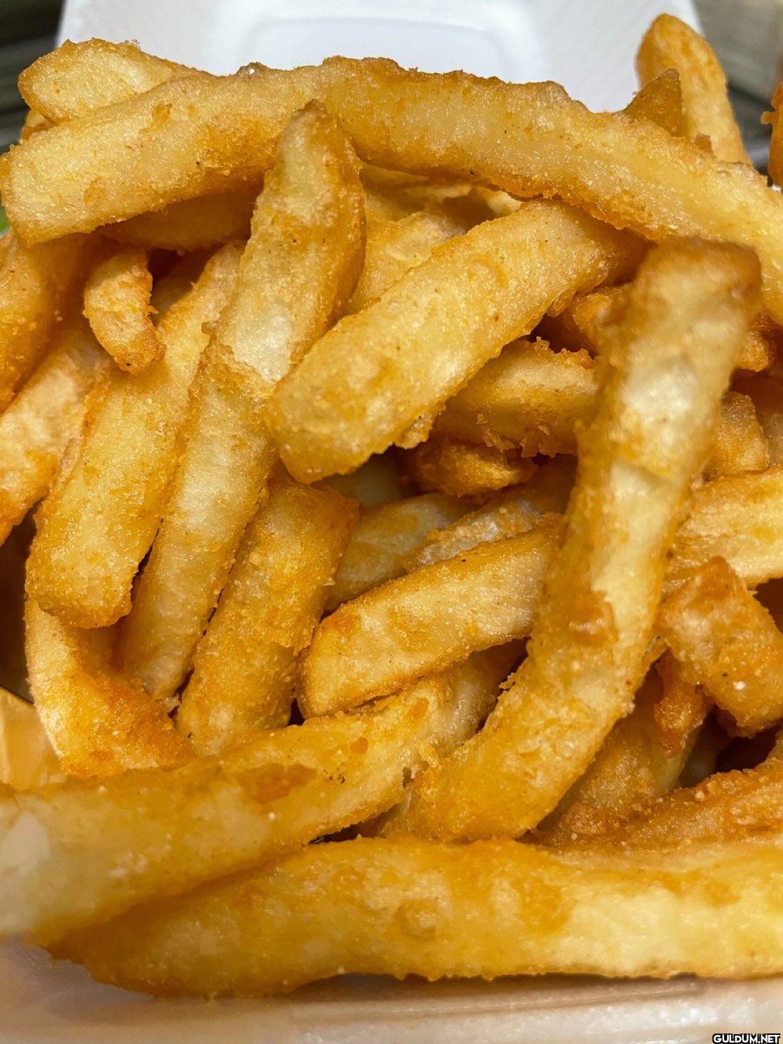 the best French Fries look like this and it isn’t a debate - Guldum.net ...