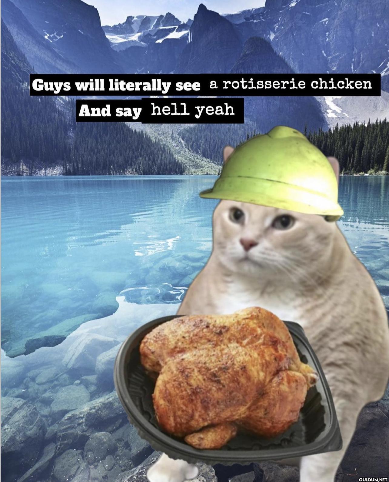 Guys will literally see a rotisserie chicken And say hell yeah - Guldum ...