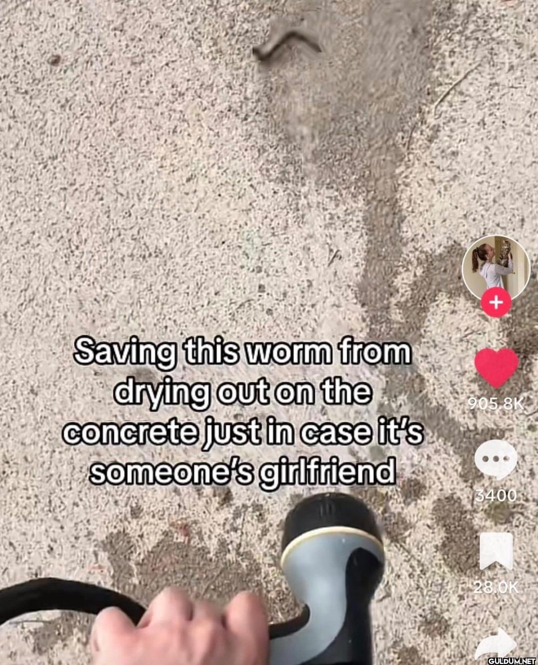 Saving this worm from drying out on the concrete just in case it's ...