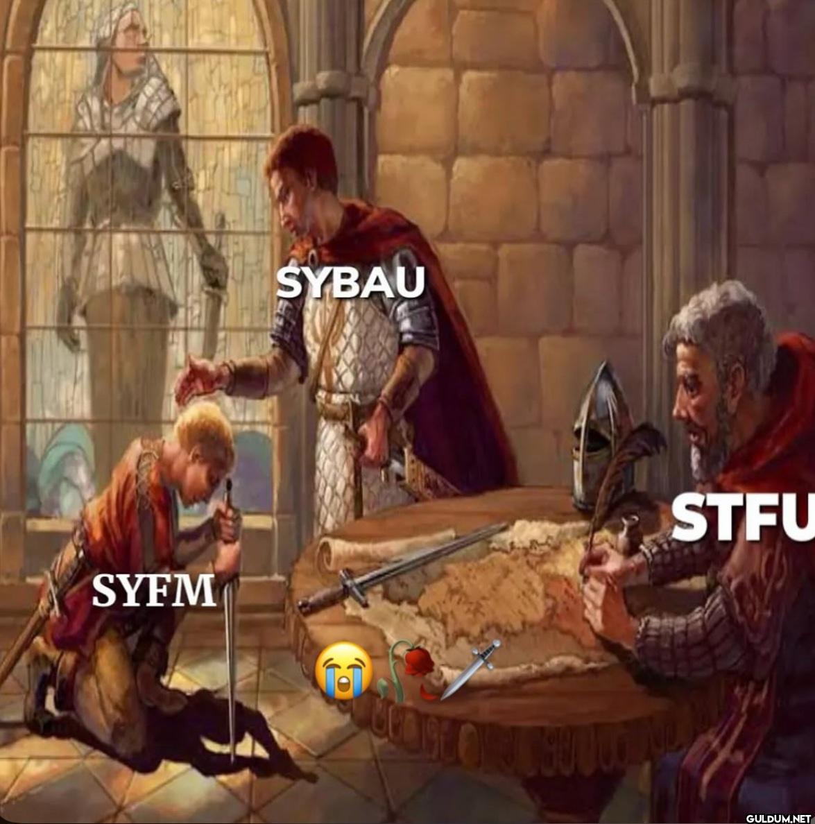 SYFM SYBAU 199000 - Guldum.net - Caps arama motoru