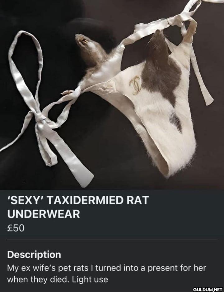 'SEXY' TAXIDERMIED RAT UNDERWEAR £50 Description My ex wife's pet rats ...