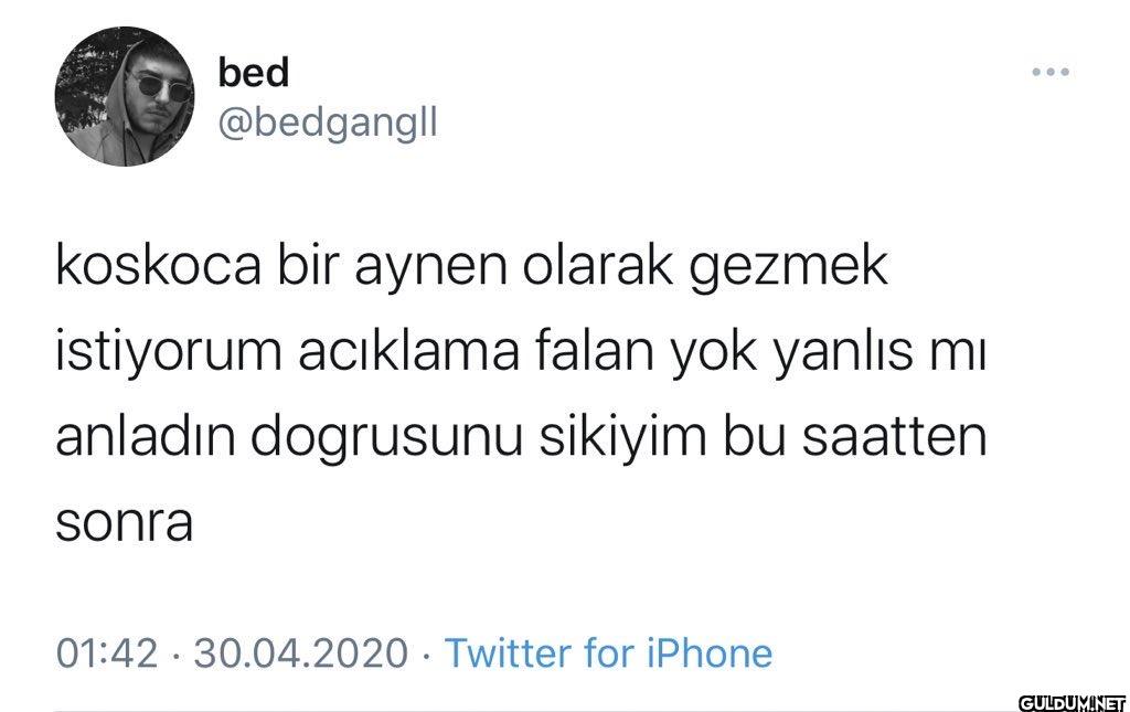 koskoca bir aynen olarak gezmek istiyorum acıklama falan yok yanlis mi ...