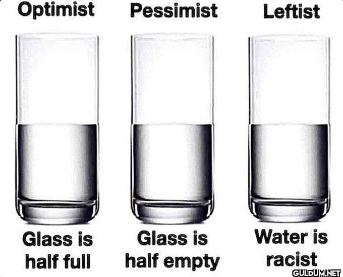 🤷‍♂️ Optimist Pessimist Leftist Glass is half full Glass is half empty ...