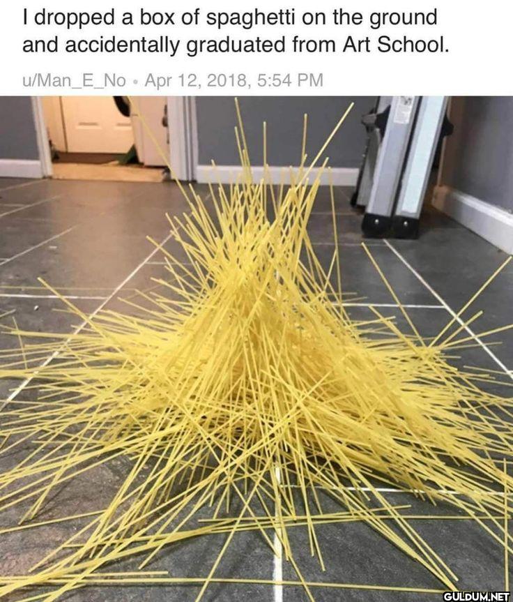 I dropped a box of spaghetti on the ground and accidentally graduated ...