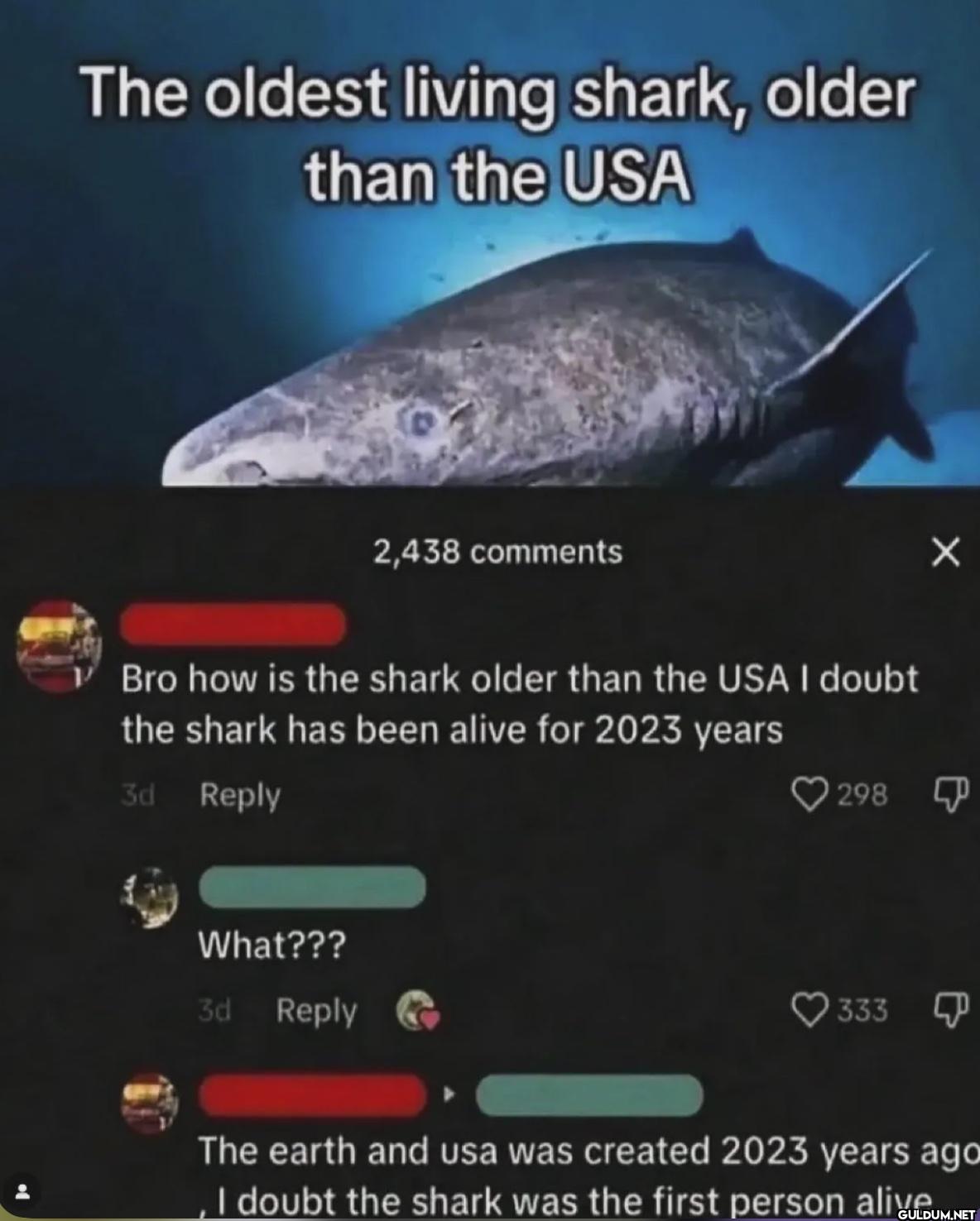 The oldest living shark, older than the USA 2,438 comments Bro how is ...