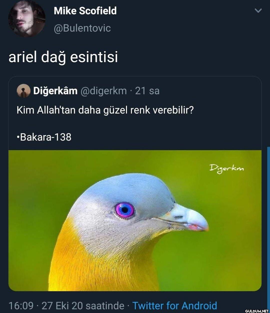 ariel dağ esintisi Diğerkâm @digerkm ⚫ 21 sa Kim Allah'tan daha güzel ...