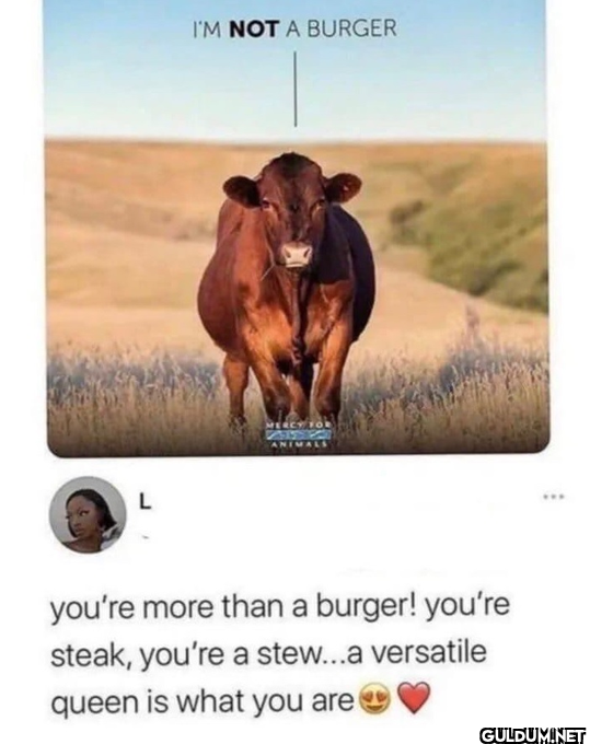 This will never get old 😂 L I'M NOT A BURGER you're more than a burger ...
